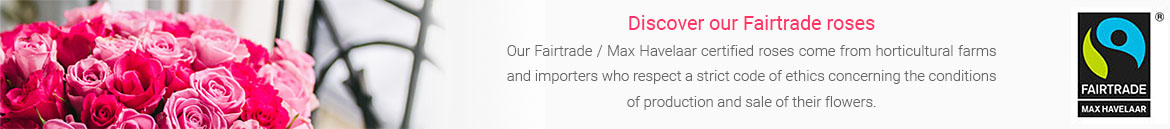 Send fairtrade roses bouquets in France | Aquarelle