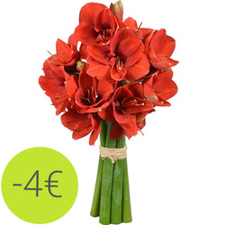 Aquarelle : Livraison fleurs 100% conforme au bouquet commandé