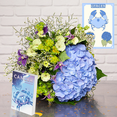 Birthday flowers delivery | Delivery in France | Aquarelle