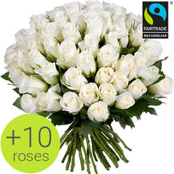 Bouquet de roses - Livraison de 30, 40, 50, 60 roses | Aquarelle