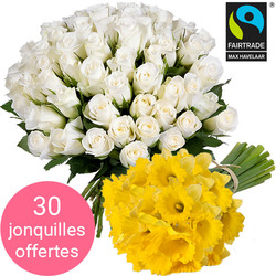 Bouquet de roses - Livraison de 30, 40, 50, 60 roses | Aquarelle