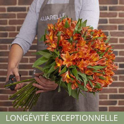 Bouquet de Fleurs | Livraison Bouquets d'été | Aquarelle