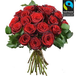 Bouquet de roses - Livraison de 30, 40, 50, 60 roses | Aquarelle