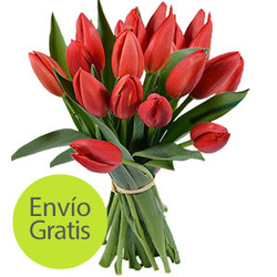 Send flowers to Spain - Delivery of flowers | Aquarelle