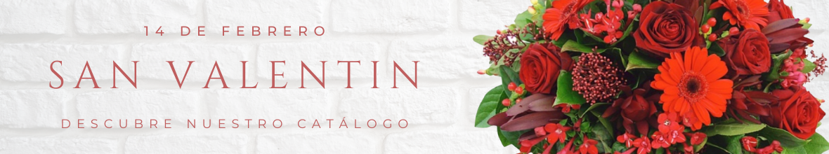 Flores para San Valentín | Envíos en toda España | Teleflora